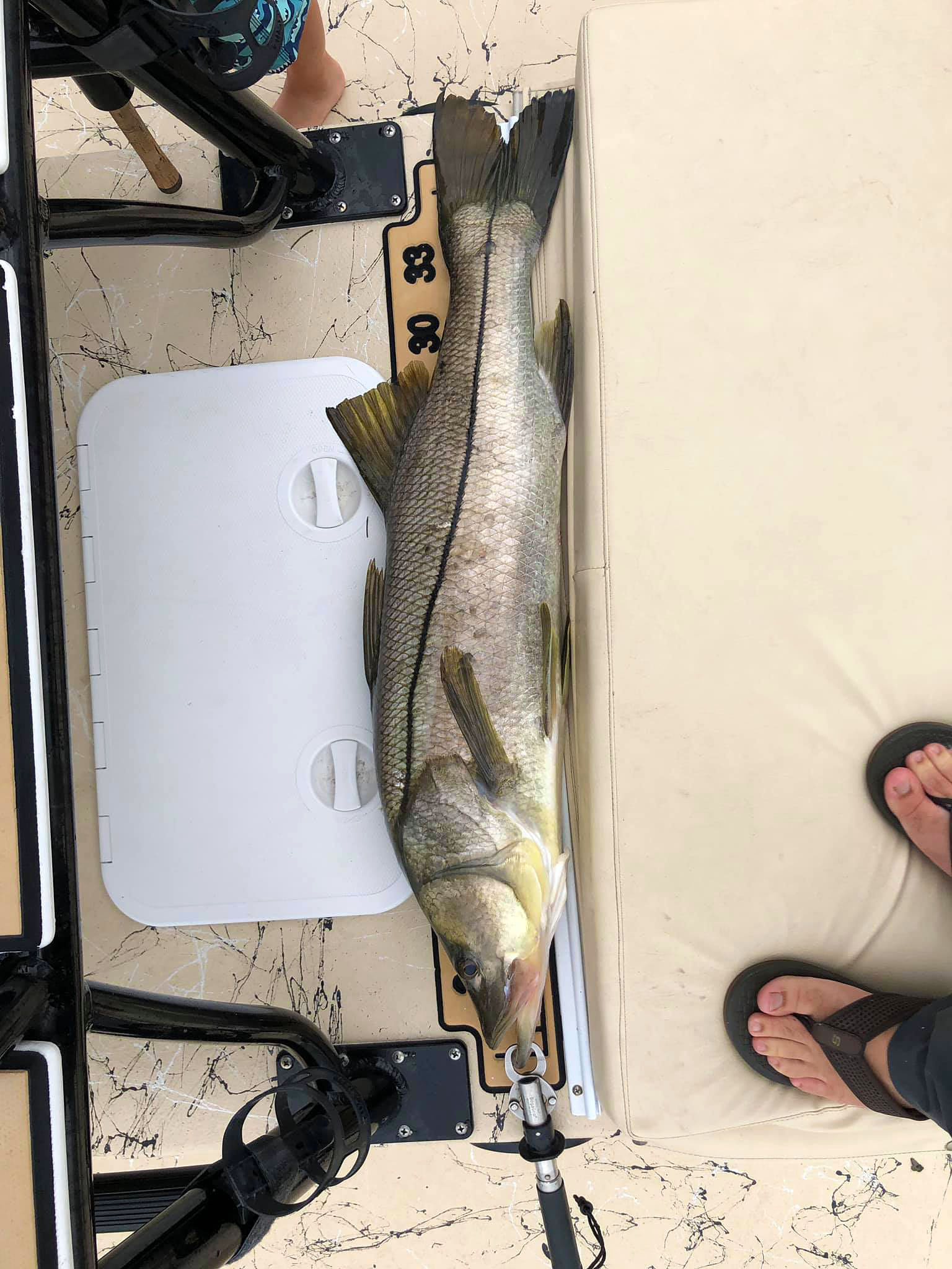 The Best Charlotte Harbor Backcountry & Inshore Fishing Guide Service